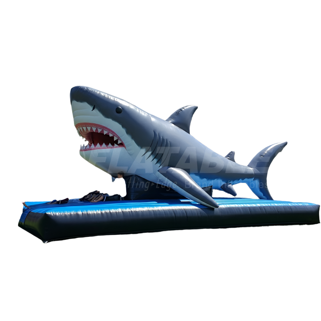Inflatable Shark Photo Op – The Carnival Depot